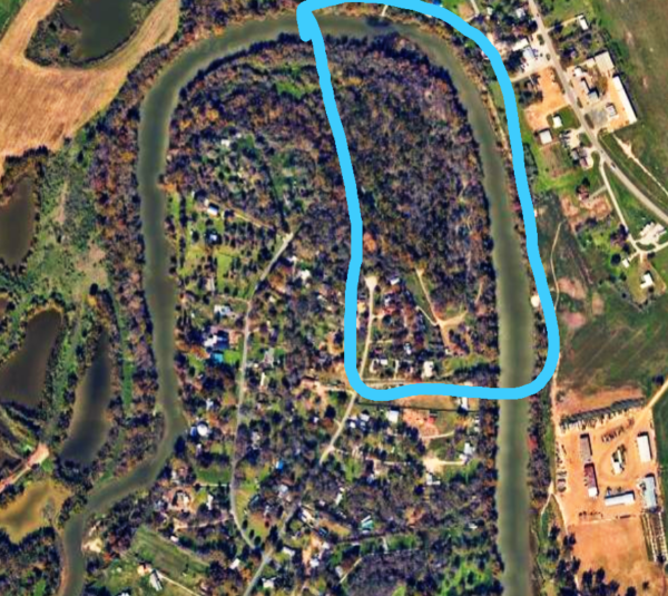 Dragonfly Fest - Unique Mindful Events